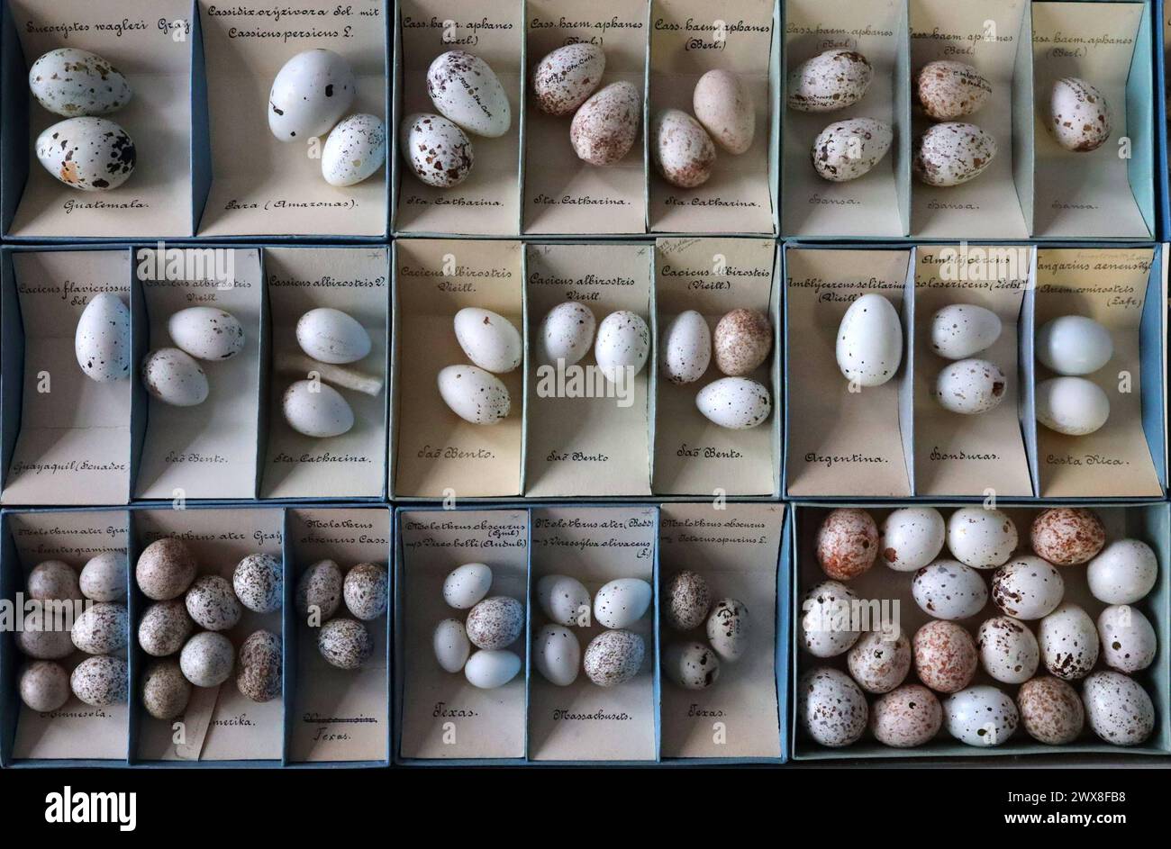 27.03..2024 Sachsen Anhalt Sachsen-Anhalt Martin Luther Universität ...