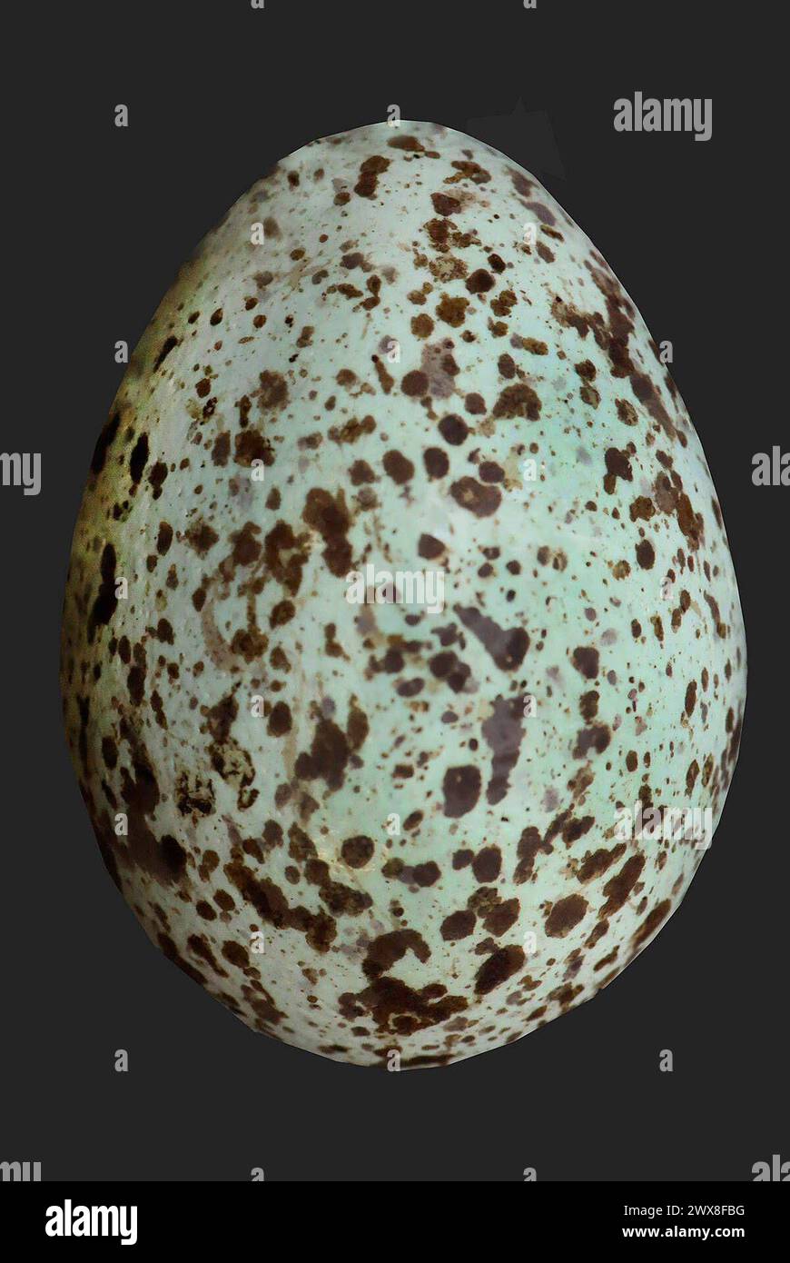 27.03..2024 Sachsen Anhalt Sachsen-Anhalt Martin Luther Universität ...