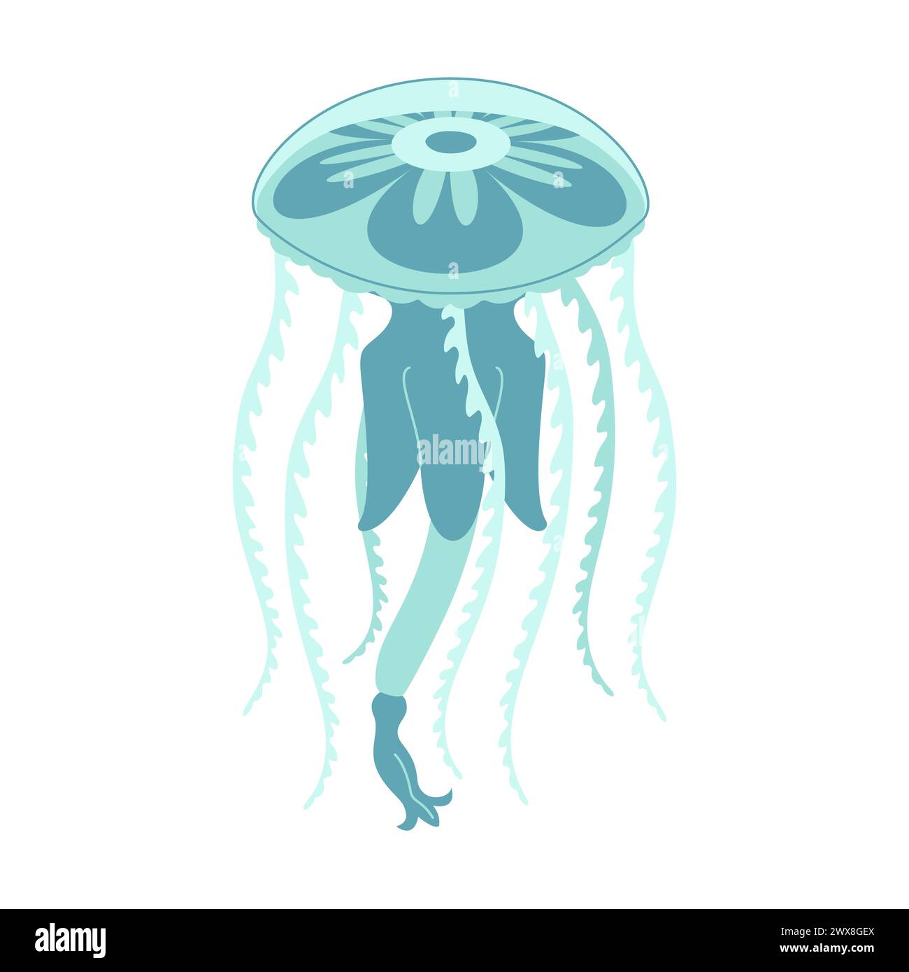 Cartoon jellyfish flat style. Medusa vector illustration. Modern flat ... Cartoon jellyfish flat style. Medusa vector illustration. Modern flat ...