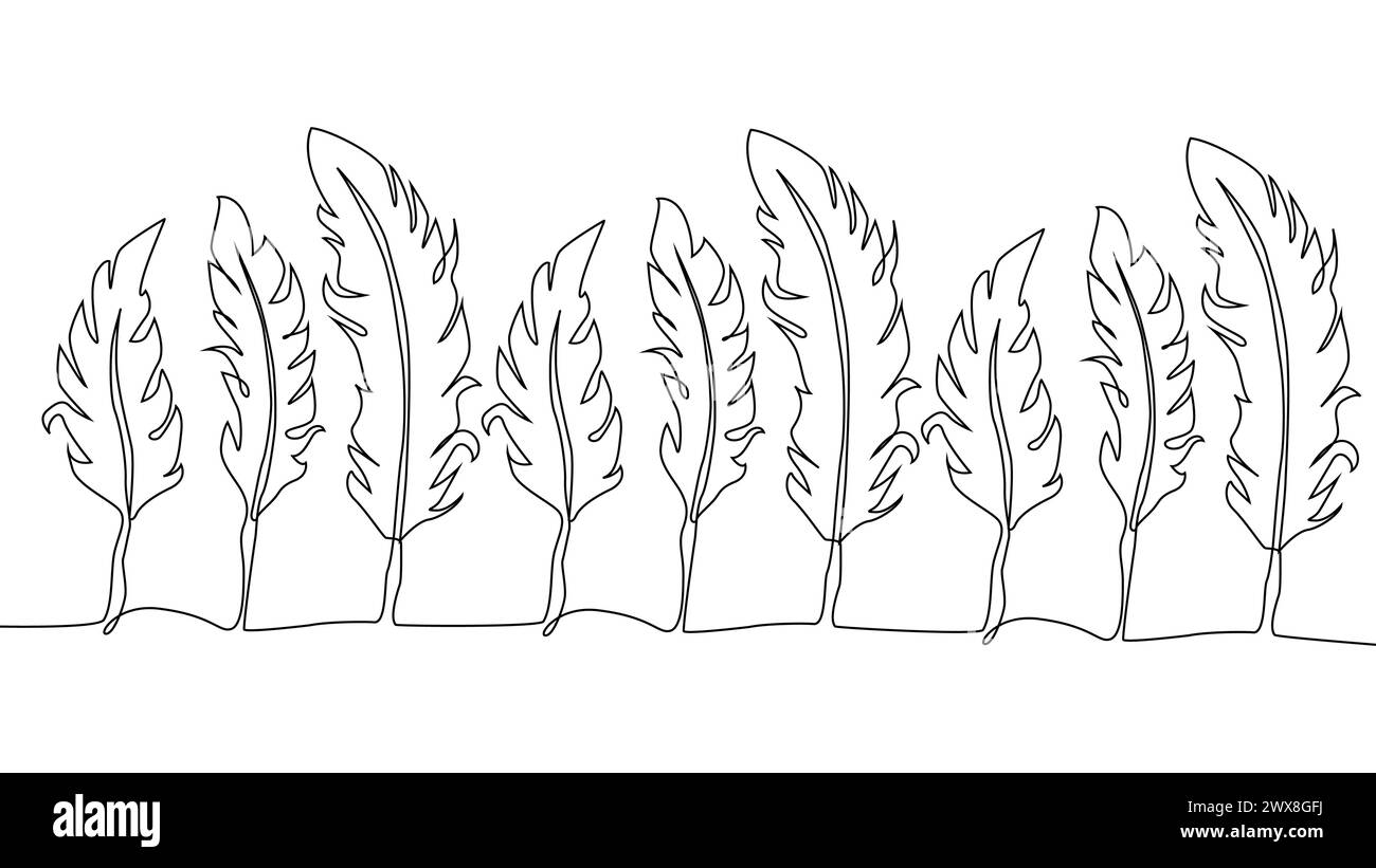 Self-drawing of continuous drawing of one line of feathers Stock Vector ...