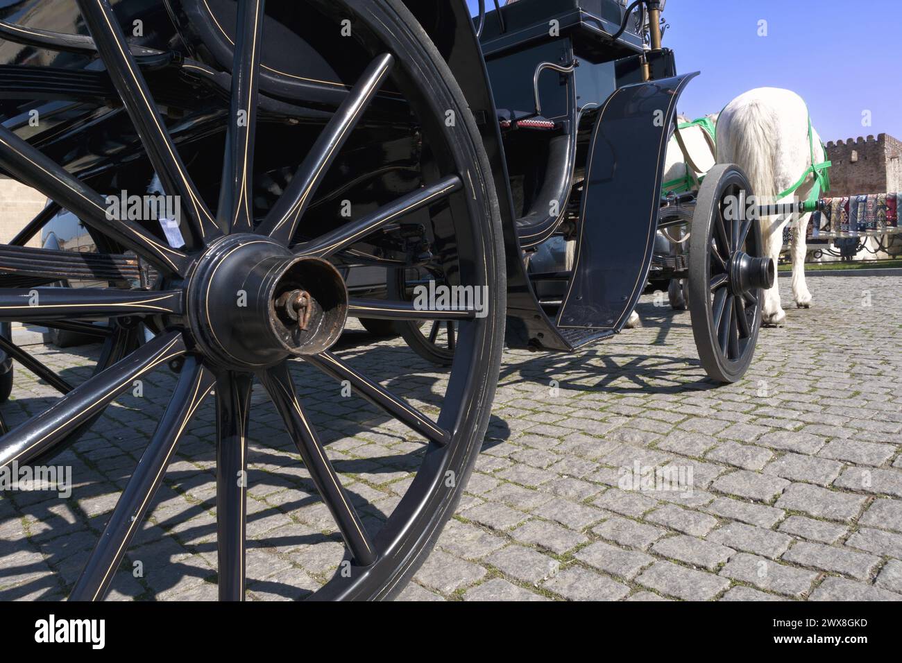 Excursion carriage with white horses in the cobblestoned castle town ...
