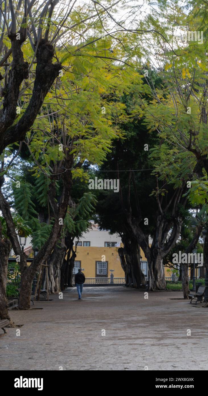Peaceful walk in nature's embrace Stock Photo - Alamy