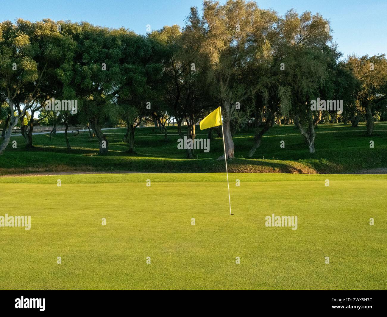 View of golf course with green grass and forest with beautiful putting ...