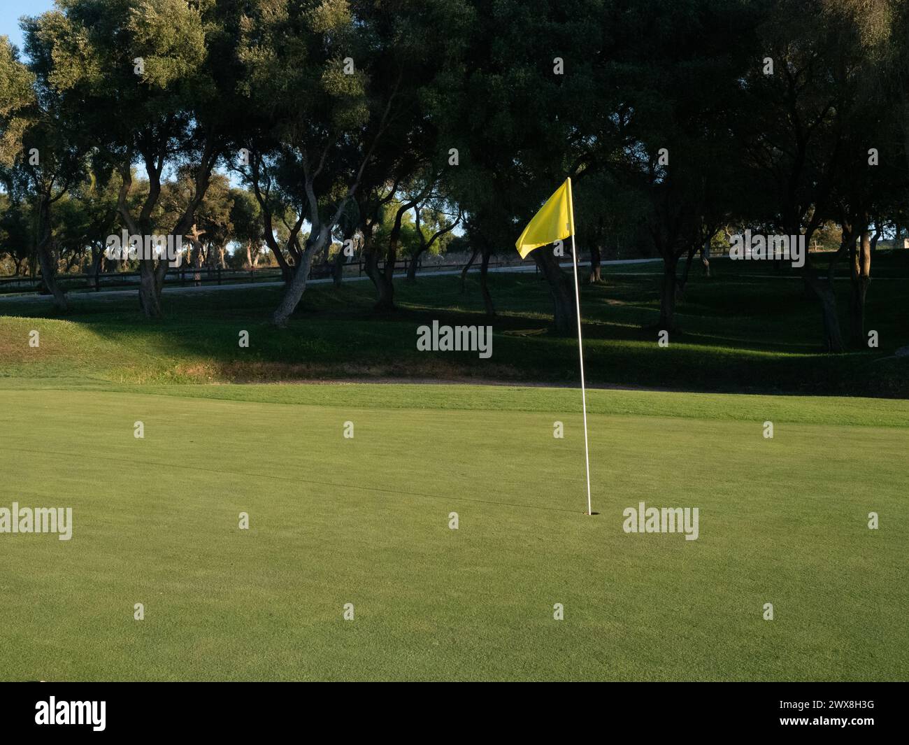 View of golf course with green grass and forest with beautiful putting ...