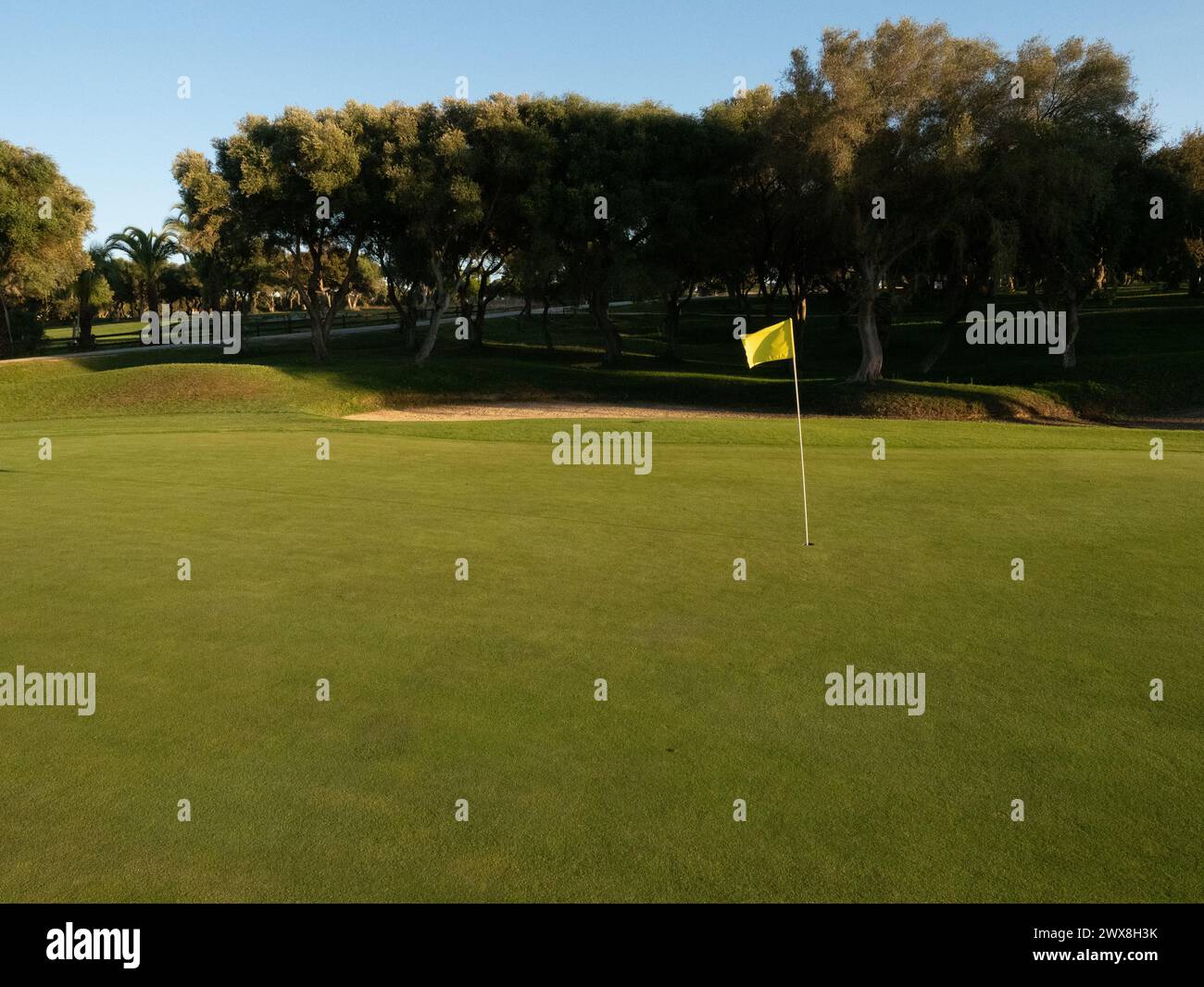 View of golf course with green grass and forest with beautiful putting ...