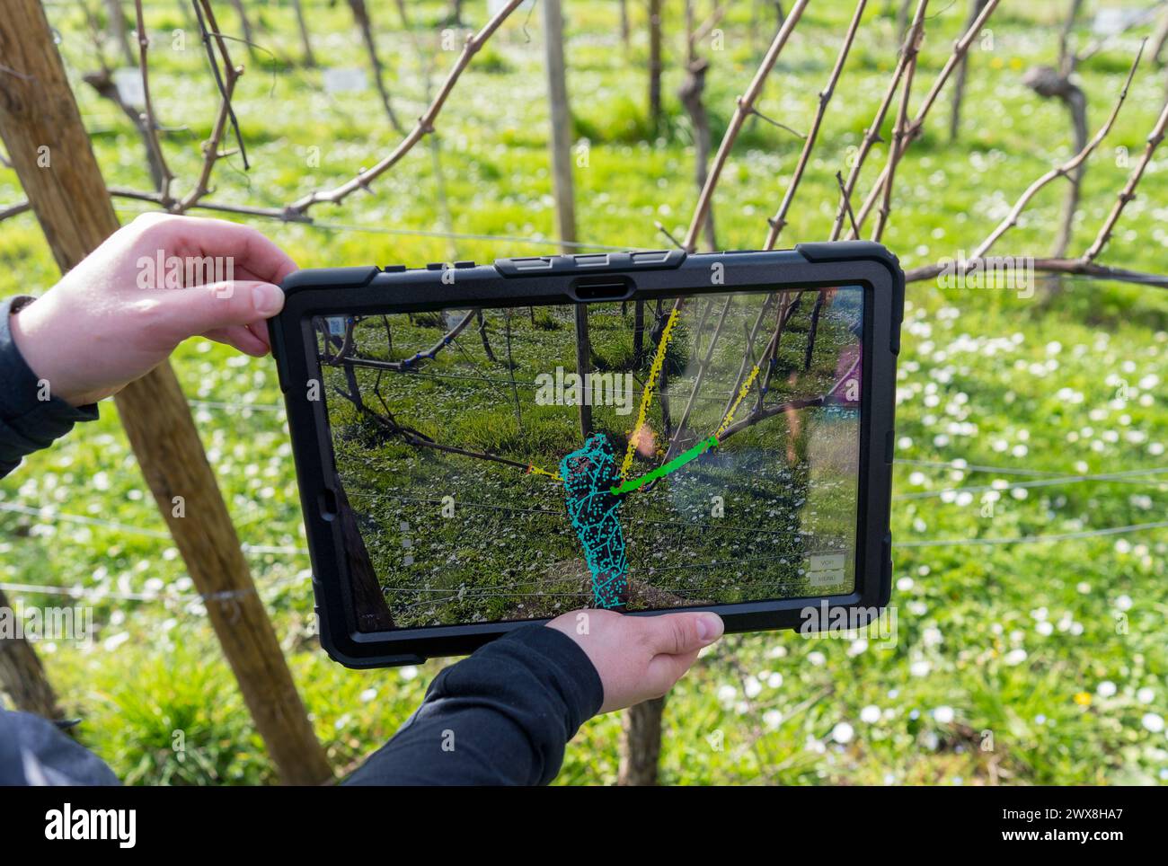 Oppenheim, Germany. 26th Mar, 2024. The display of a tablet shows the ...
