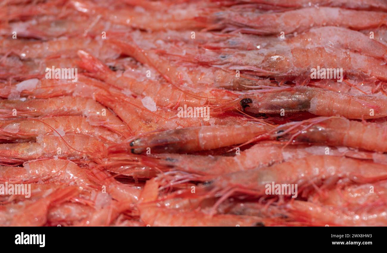 Cooked prawns in shell hi-res stock photography and images - Alamy