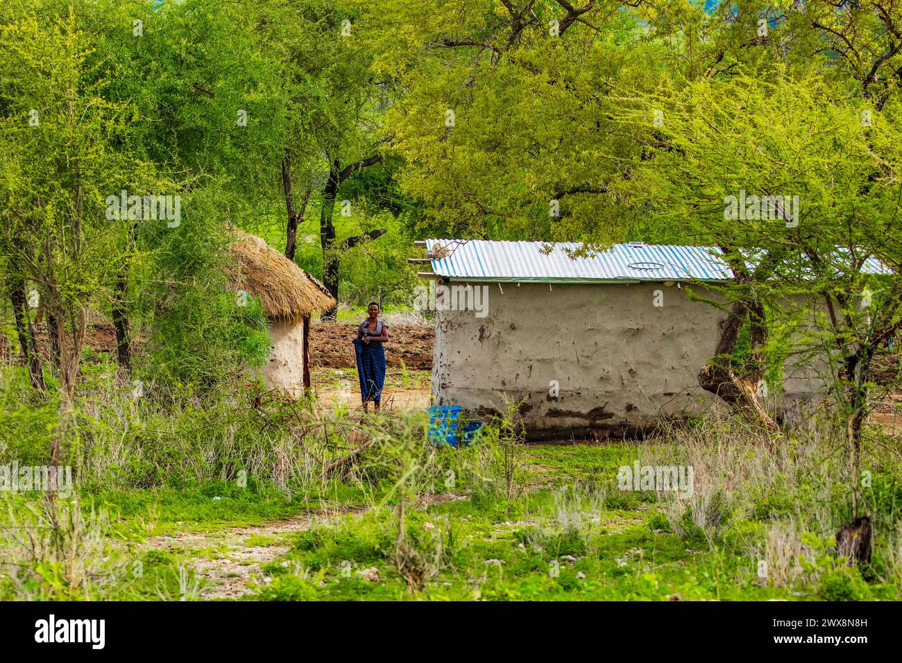 Arusha,Tanzania,Africa. 03.02. 2022. Traditional Masai village at ...