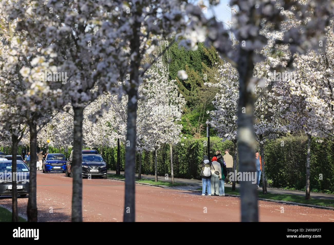 Spring flowers in Regents Park, at Easter 2024, despite the unsettled ...