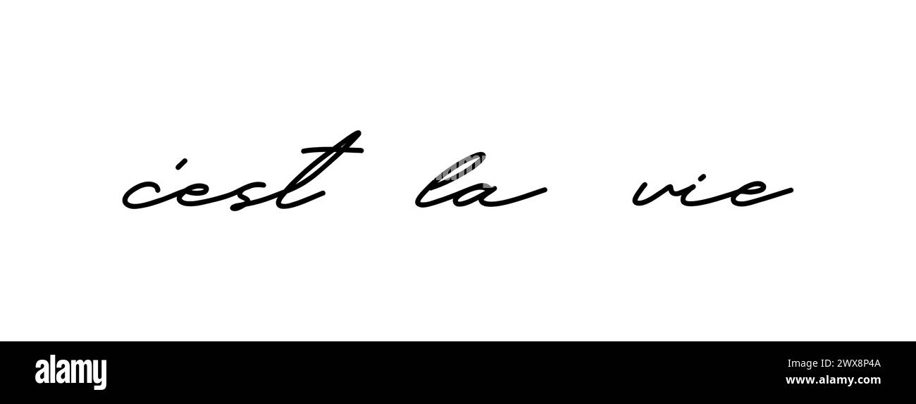 Cest La Vie card. Hand drawn positive quote. Modern brush calligraphy ...