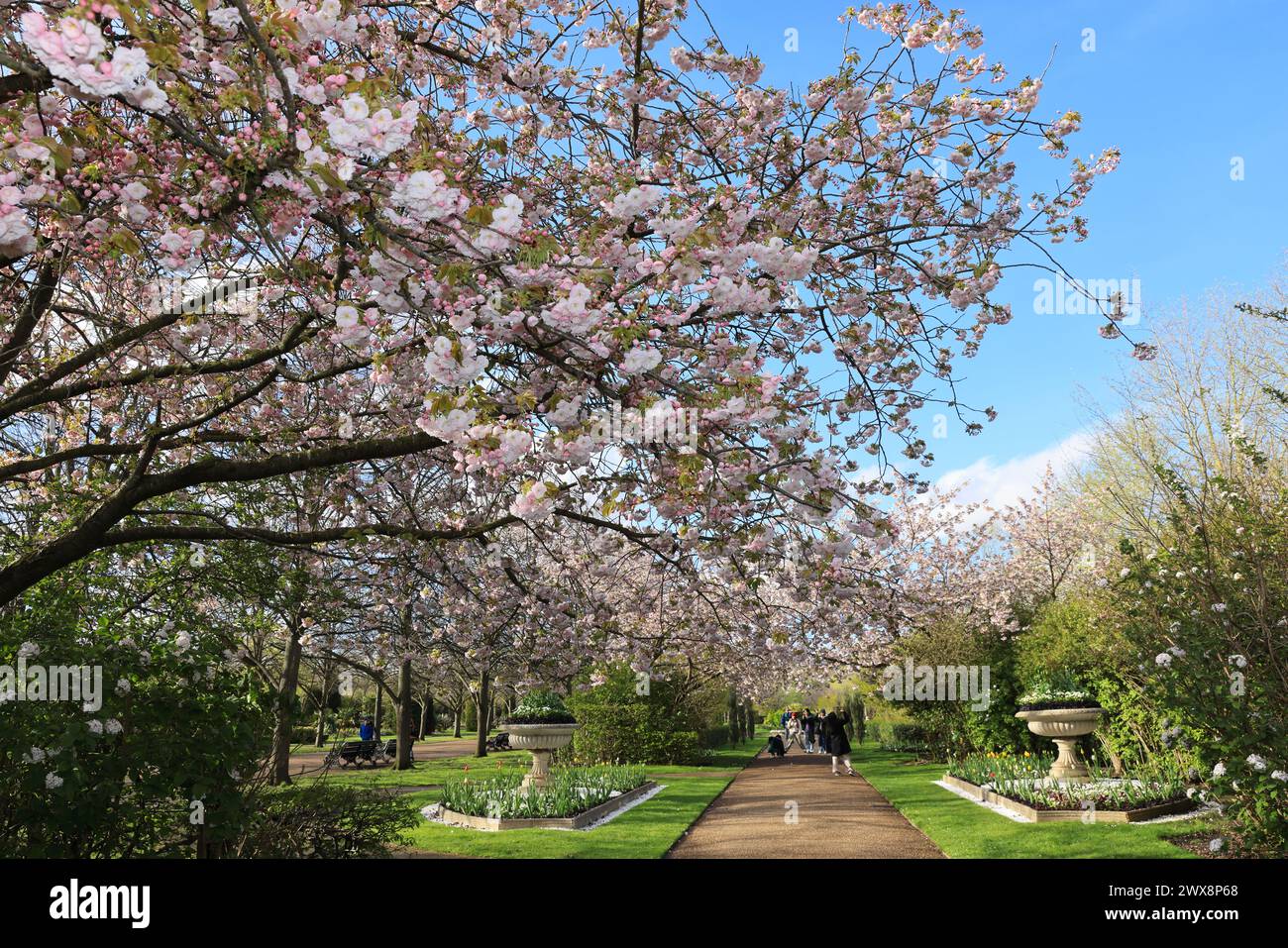 Spring flowers in Regents Park, at Easter 2024, despite the unsettled ...