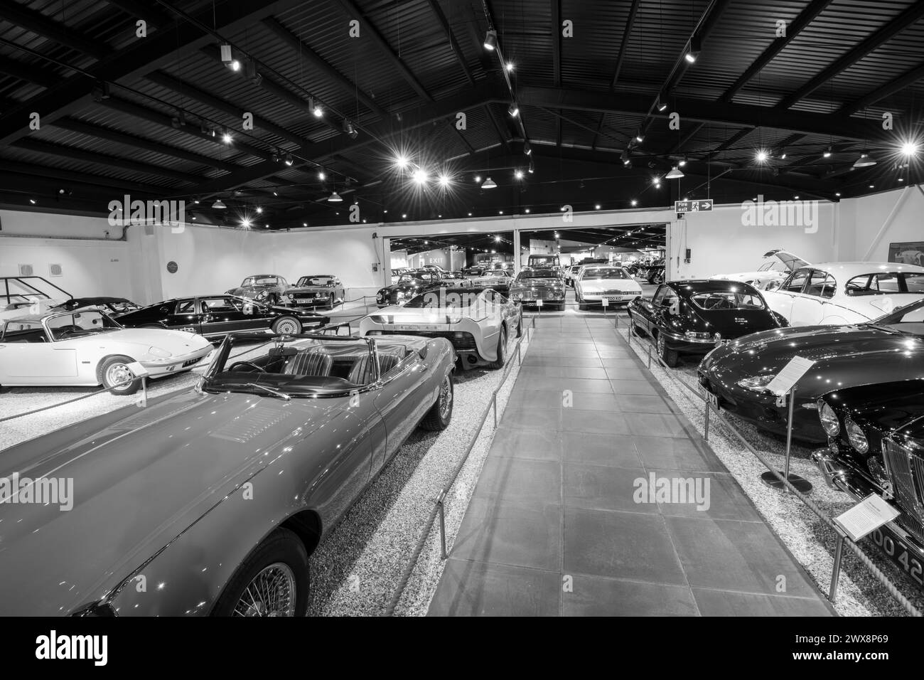 Sparkford.Somerset.United Kingdom.January 7th 2024.A selection of ...