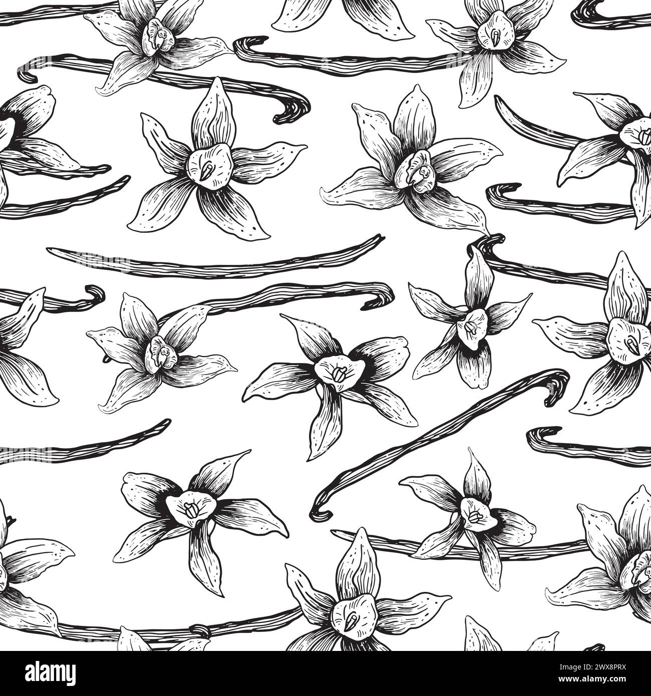 Vanilla flowers and pods. Vector seamless pattern. Vintage style. Hand ...