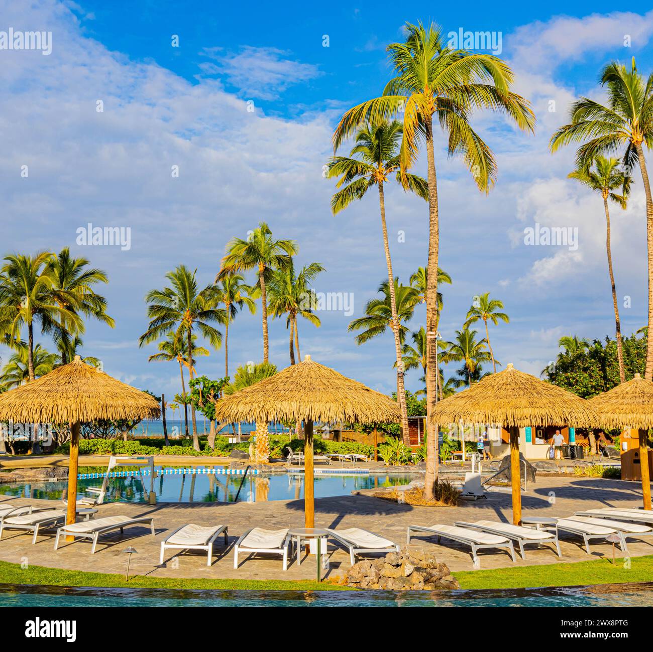 Deck Chairs Beside Swimming Pool at Resort Hotel, Waikoloa, Hawaii ...