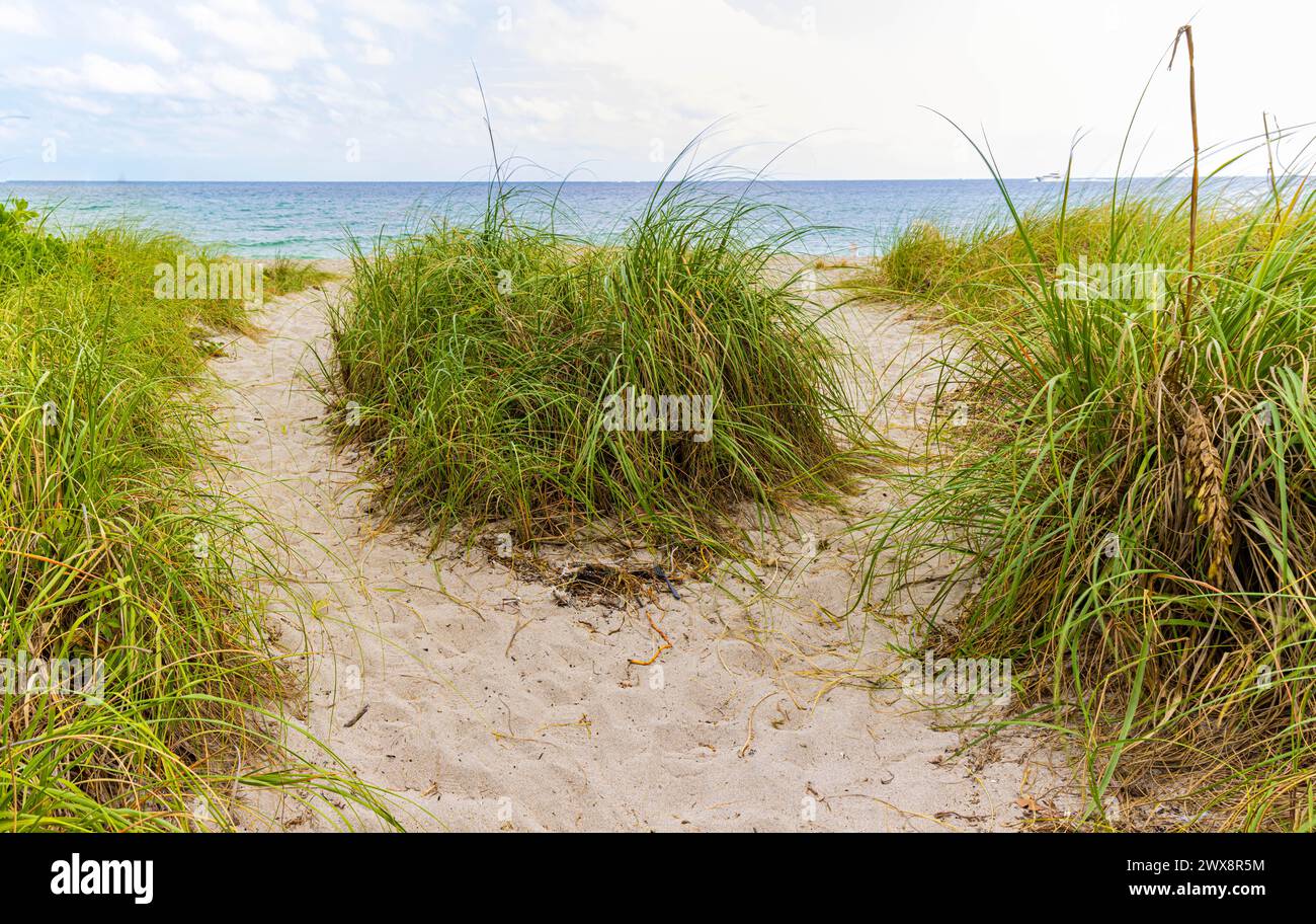 Sandy Path Over Grass Covered Sand Dunes Leading to Green Street Beach ...
