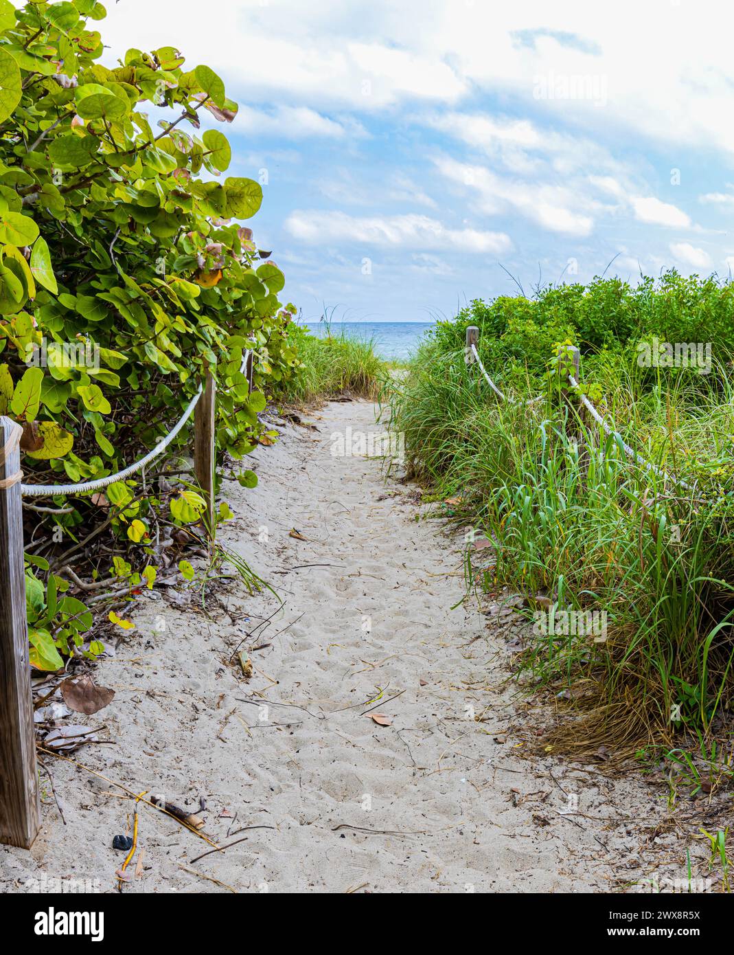 Sandy Path Over Grass Covered Sand Dunes Leading to Green Street Beach ...