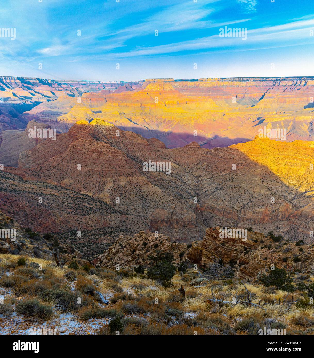 The Desert View Vista Overlooking The Desert Palisades and Colorado ...
