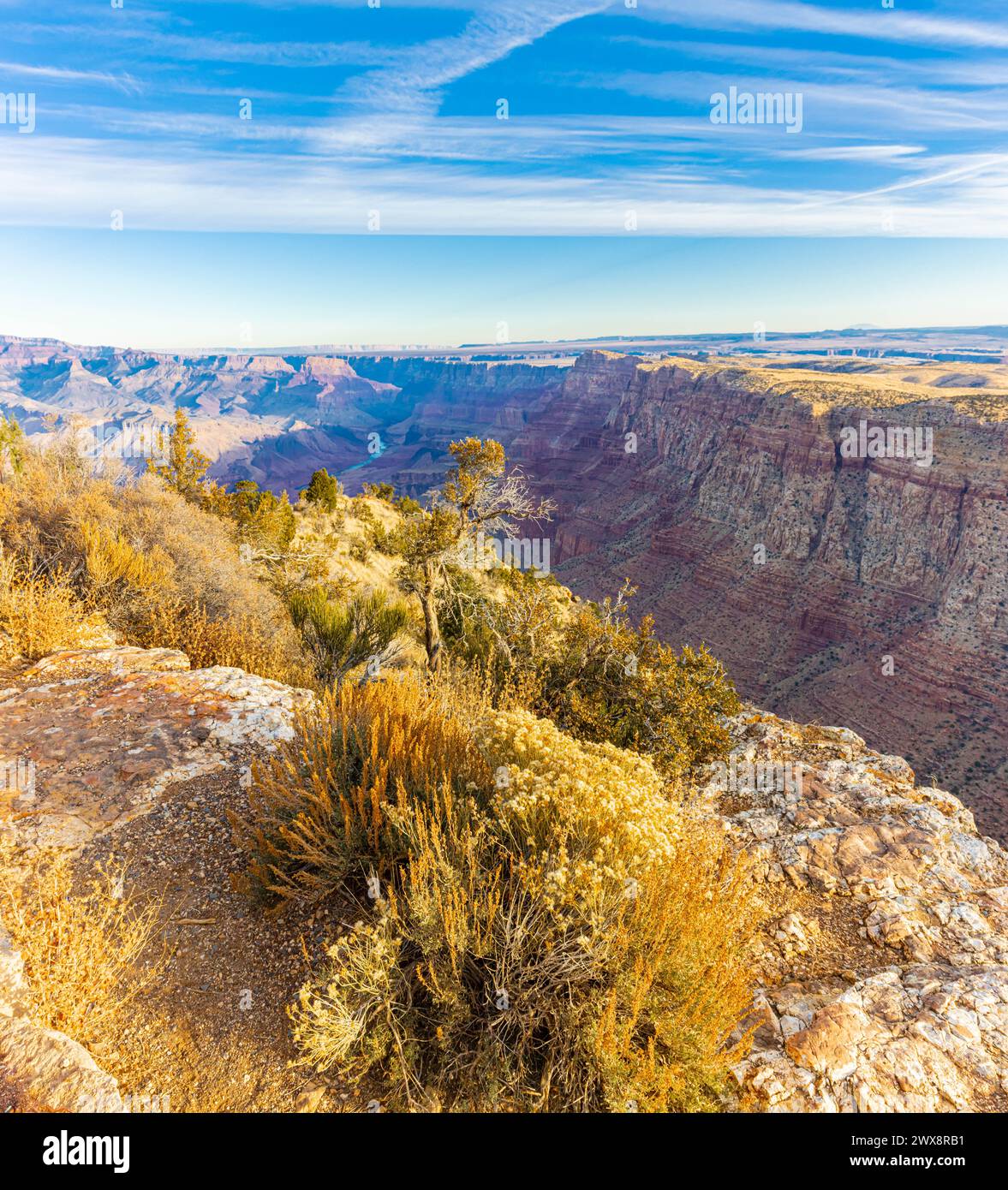 The Desert View Vista Overlooking The Desert Palisades and Colorado ...