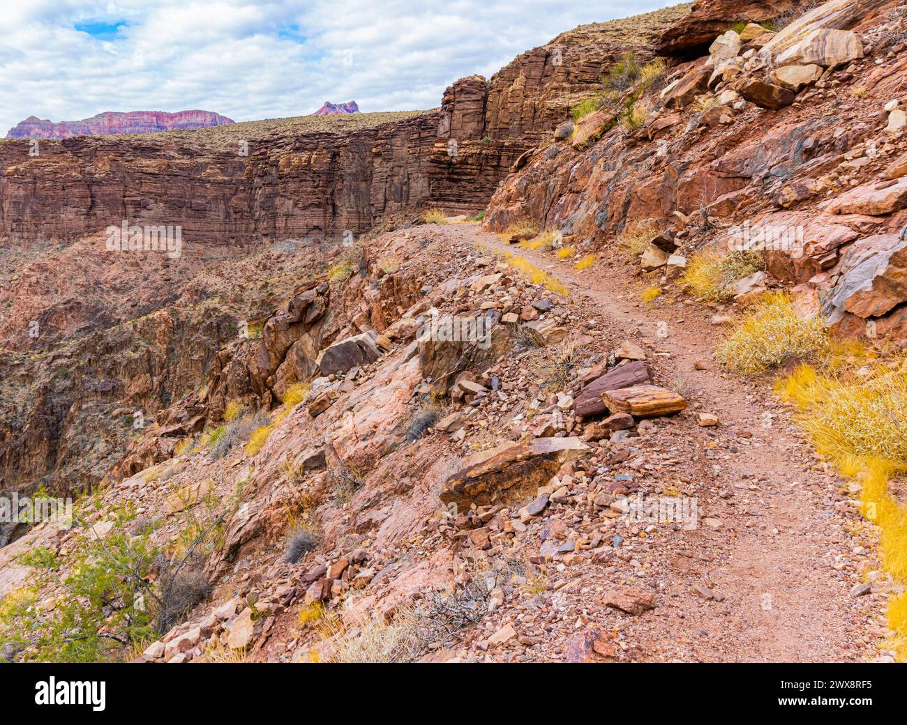 The Clear Creek Trail Above The Colorado River, Grand Canyon National ...