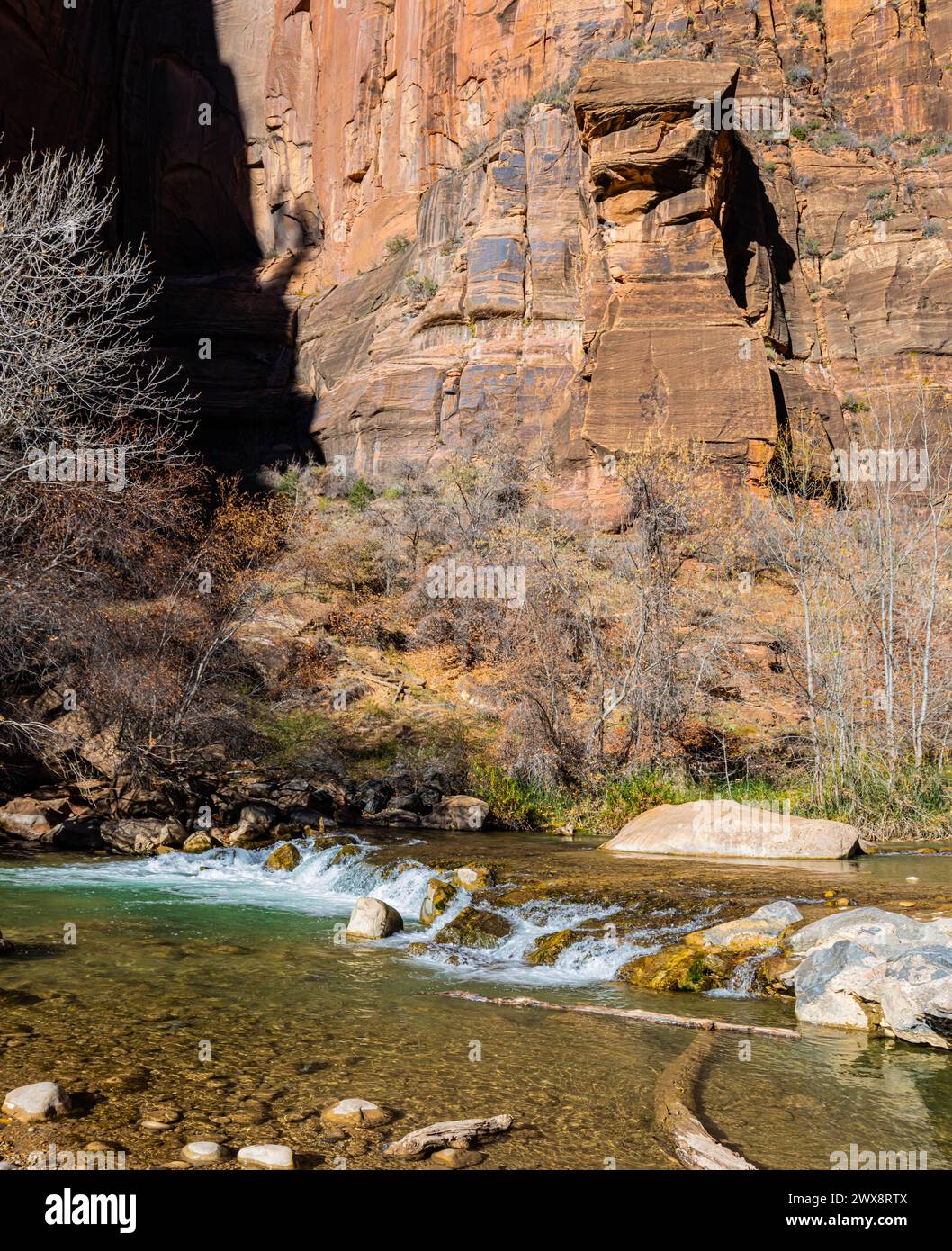 Cascades and Fall Color In The Virgin River Narrows, Zion National Park ...