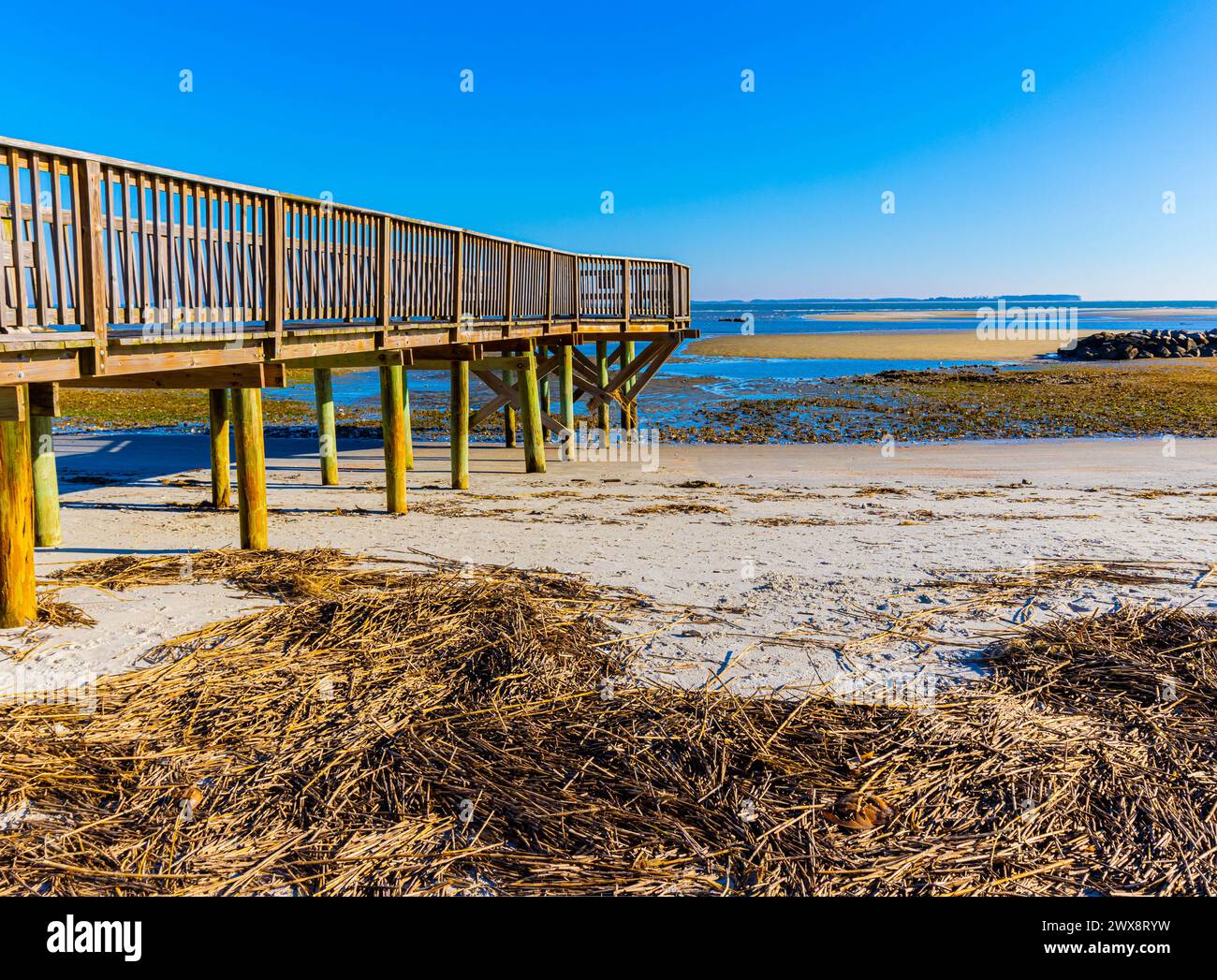 Pier Overlooking Port Royal Sound and The Mud Flats of Fish Haul Beach ...