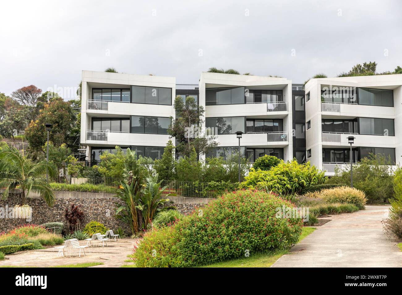 Sydney homes and apartments with a park view, Harold Park in Sydney ...
