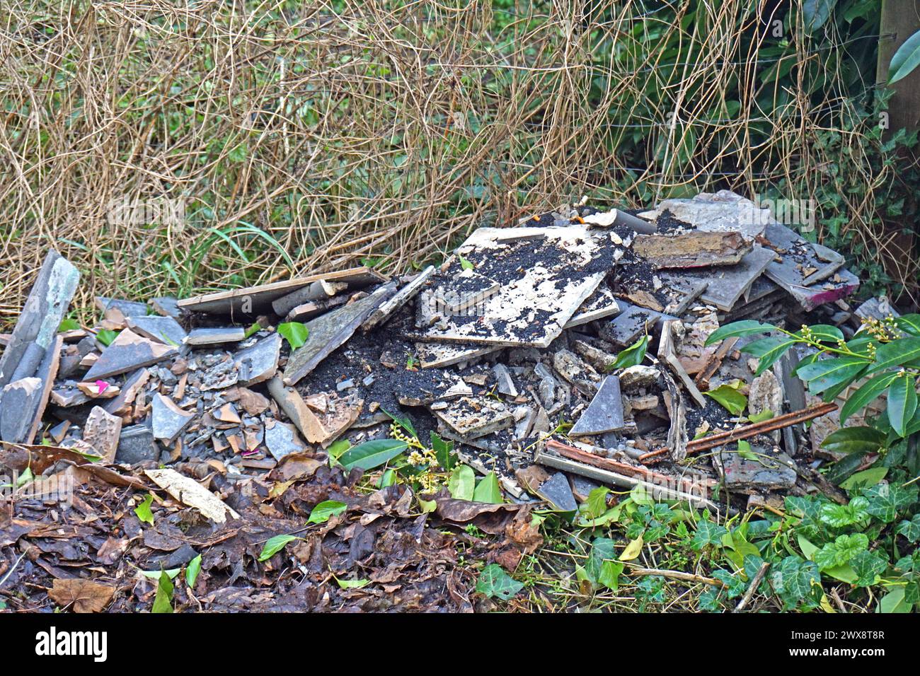 Illegal falsch hi-res stock photography and images - Alamy