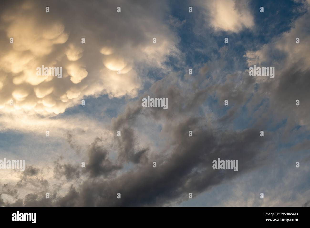 The image captures the awe-inspiring mammatus clouds, their pouch-like ...