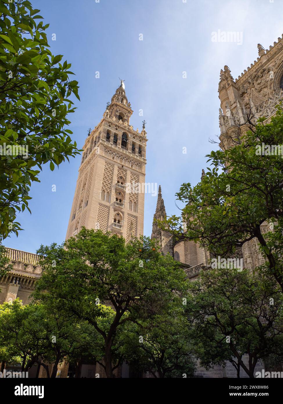 Great mosque of seville hi-res stock photography and images - Alamy
