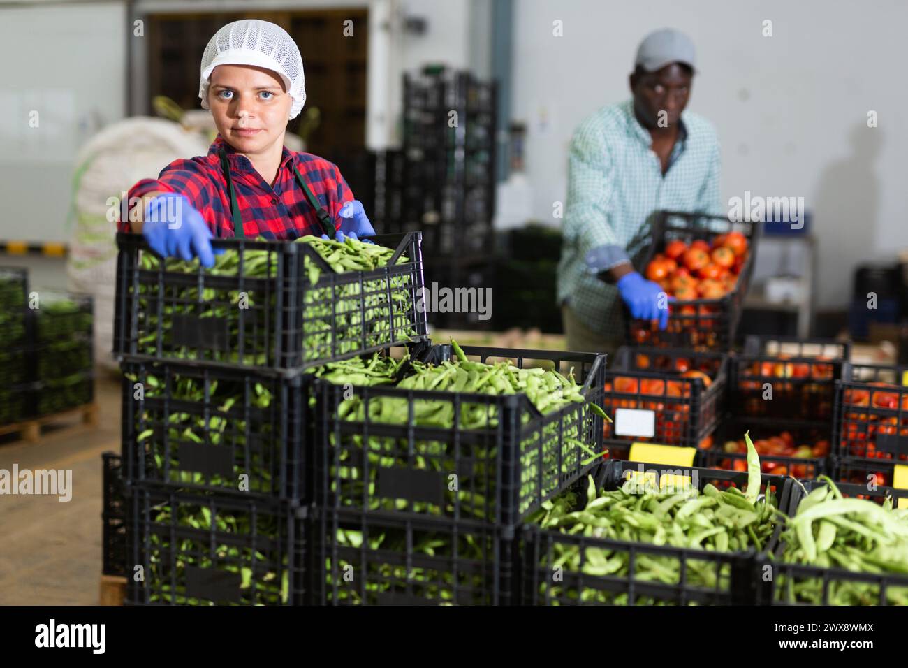 Pea factory hi-res stock photography and images - Alamy