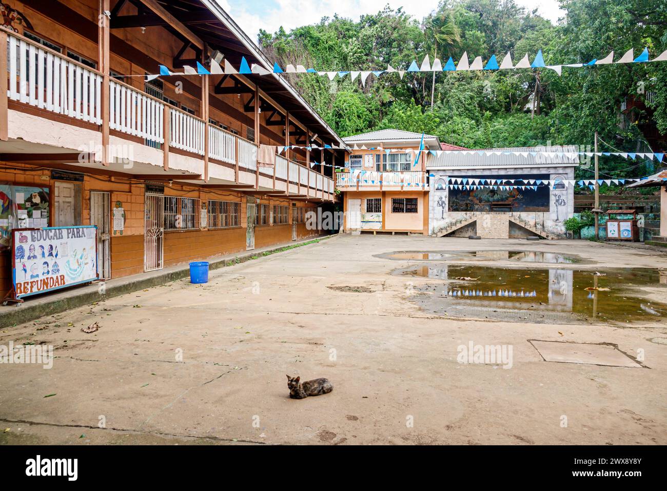Port Roatan Honduras,Coxen Hole,Bay Islands,Main Street,cat resting ...