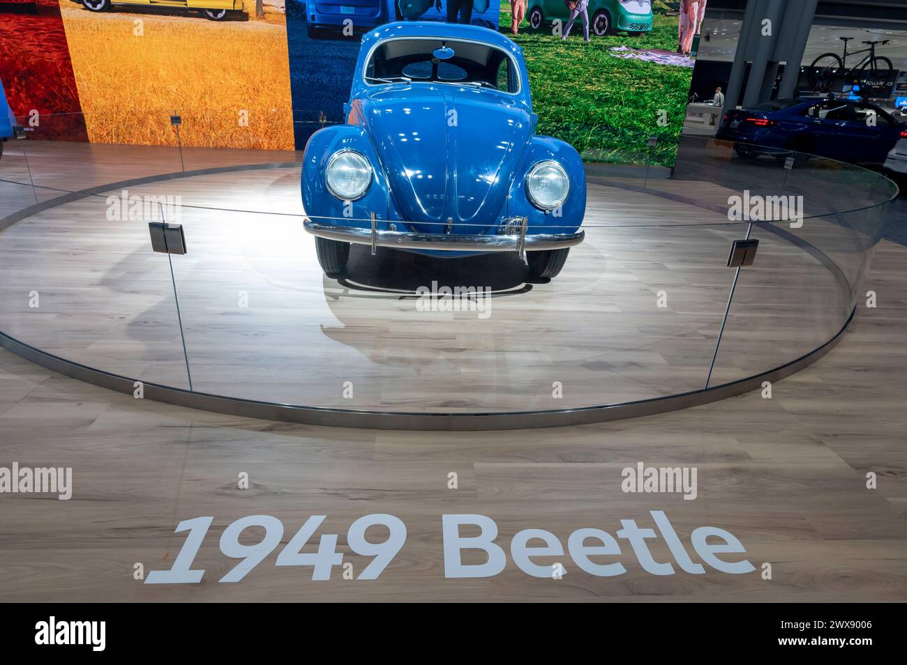 Split window beetle hi-res stock photography and images - Alamy