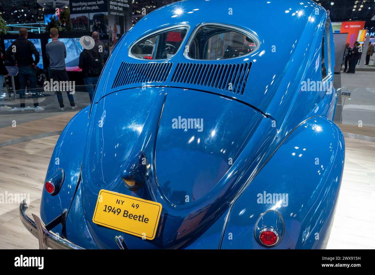Split window beetle hi-res stock photography and images - Alamy