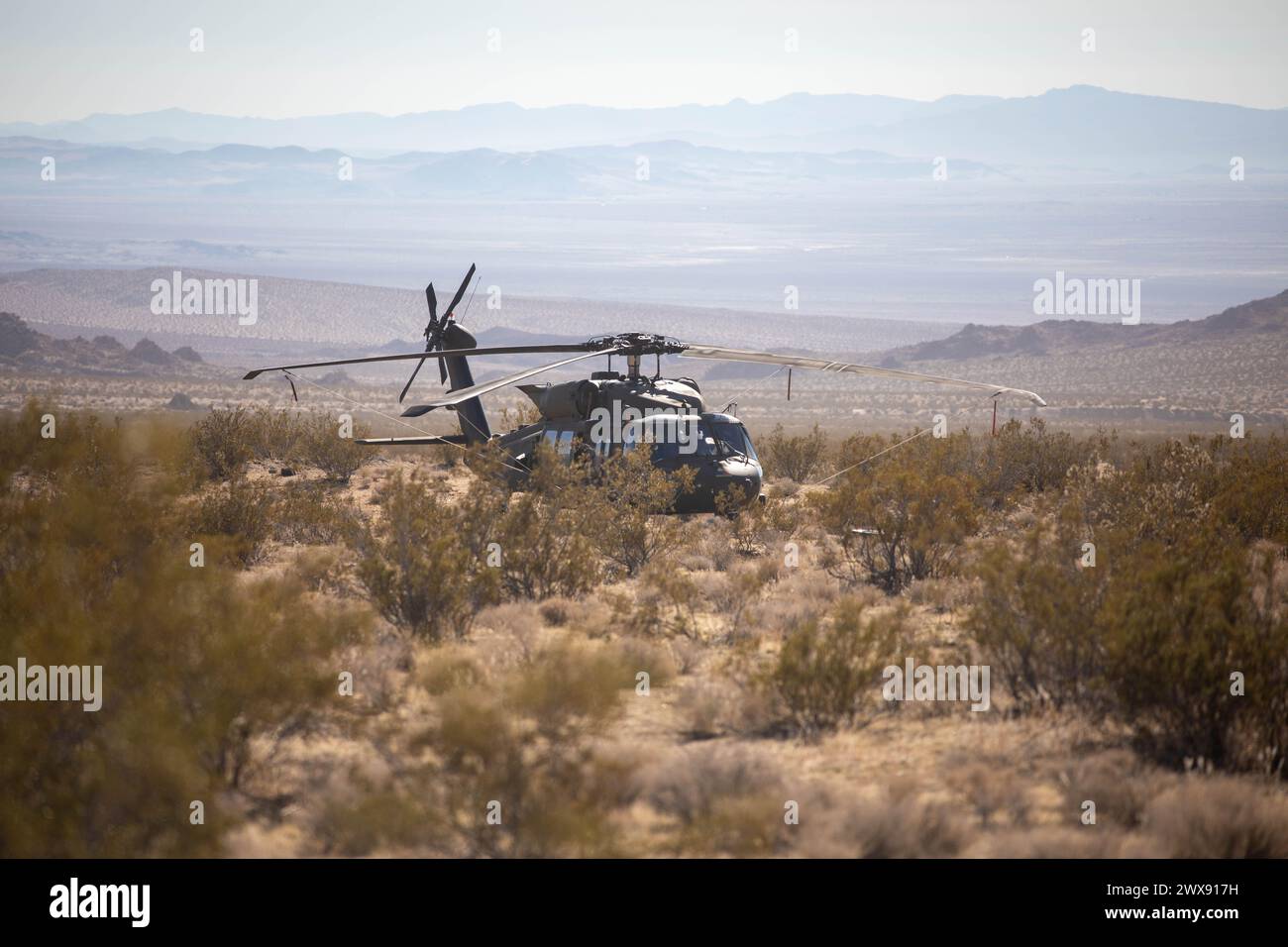 U.S. Blackhawk Helicopters (UH-60) attached to 1st Squadron, 501st ...