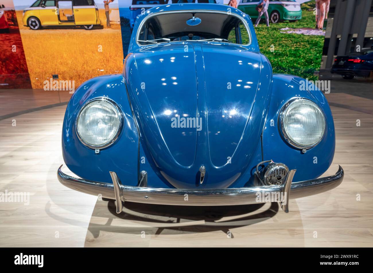 Split window beetle hi-res stock photography and images - Alamy