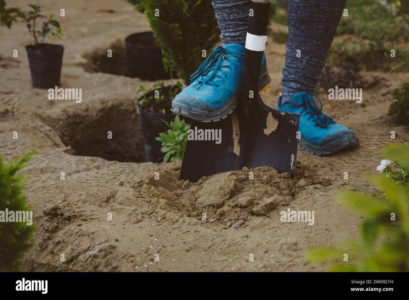 Man digging soil in backyard man hi-res stock photography and images ...