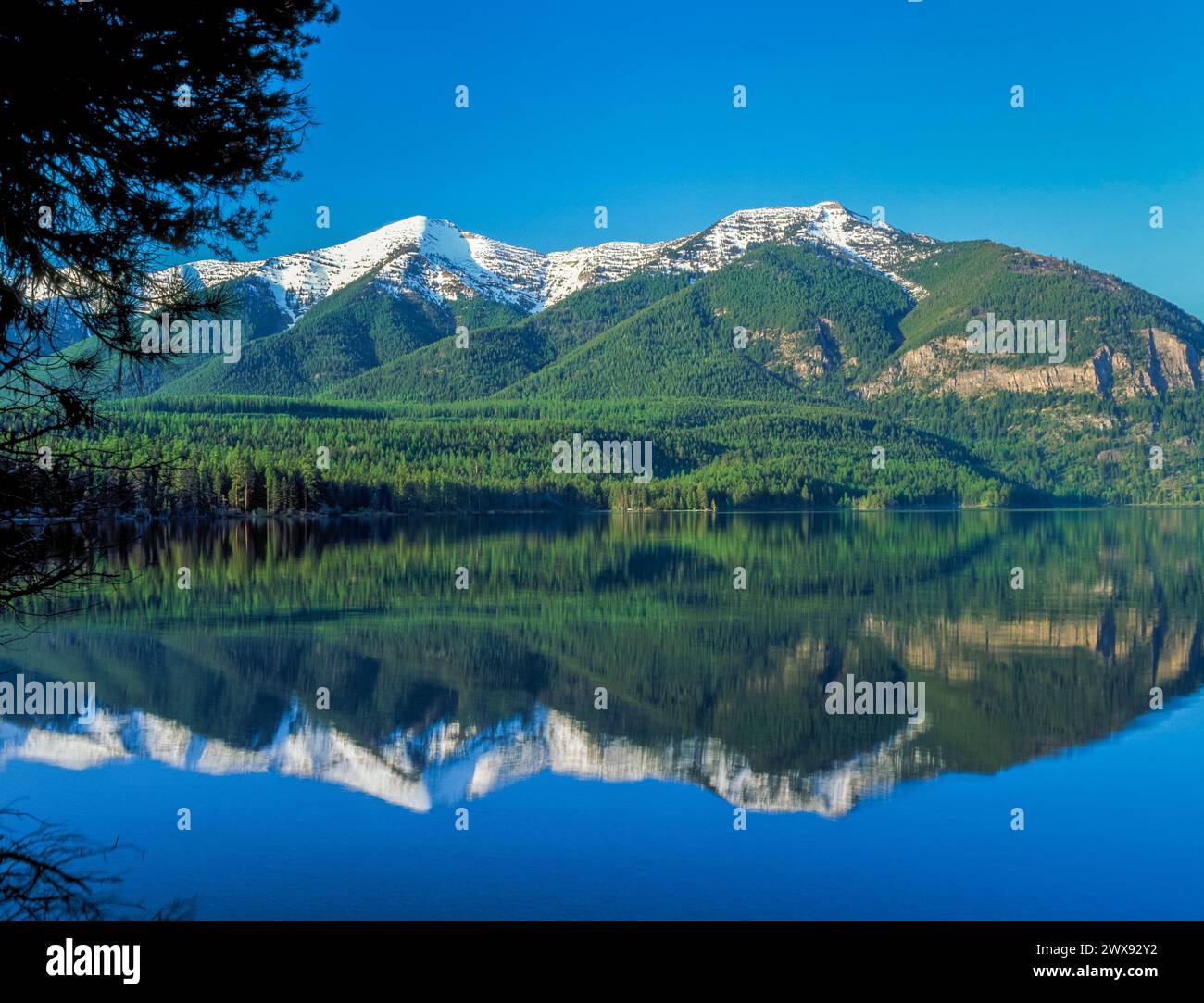 holland lake below peaks of the swan range near condon, montana Stock ...