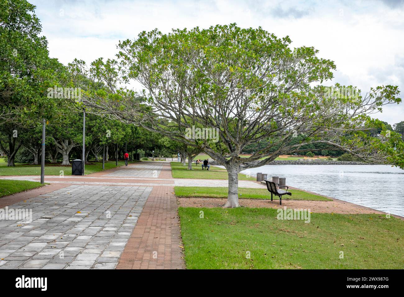 Glebe Annandale bicentennial park, part of the Glebe foreshore walk and ...