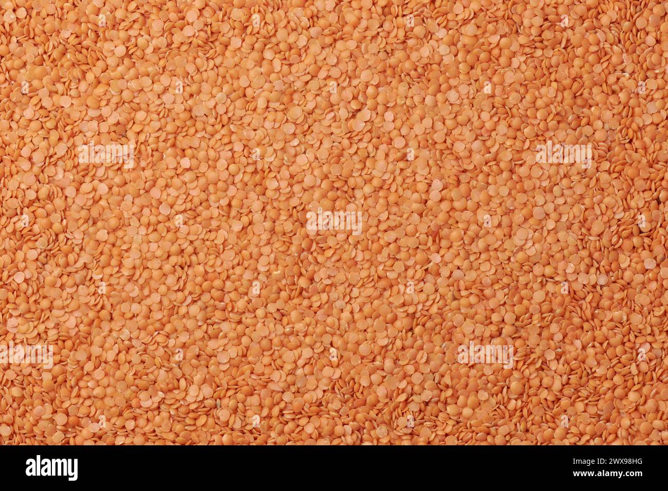 red lentils or masoor dal, legume used cooking in indian, middle ...
