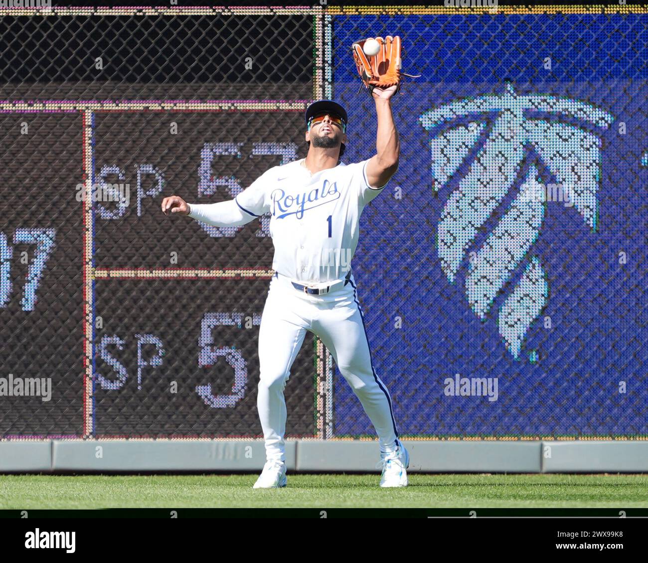 MAR 28, 2024: Kansas City Royals right fielder MJ Melendez (1) brings in a fly ball on opening ...