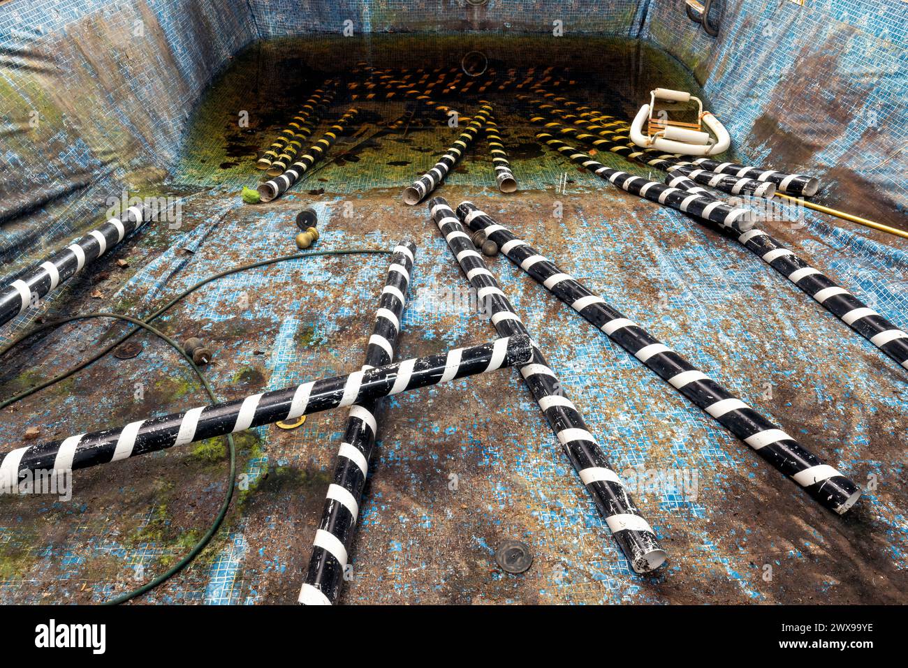 Old abandoned swimming pool - North Carolina, USA Stock Photo - Alamy