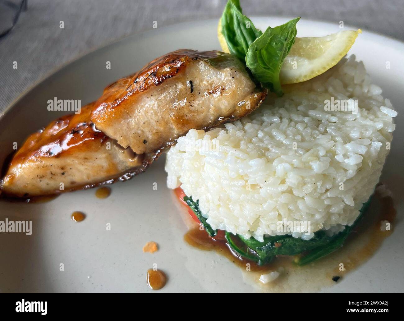 Mahi mahi hi-res stock photography and images - Alamy