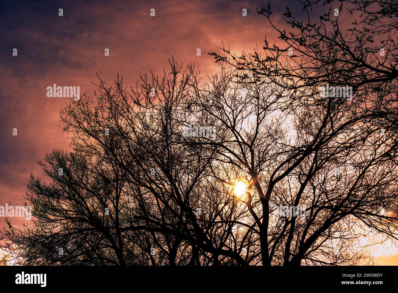 Sunlight shines through a cloud hi-res stock photography and images - Alamy