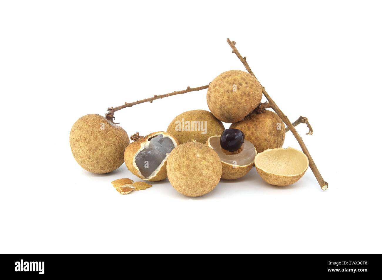 Longan fruits on branch, one of the fruits is cut open, displaying its ...