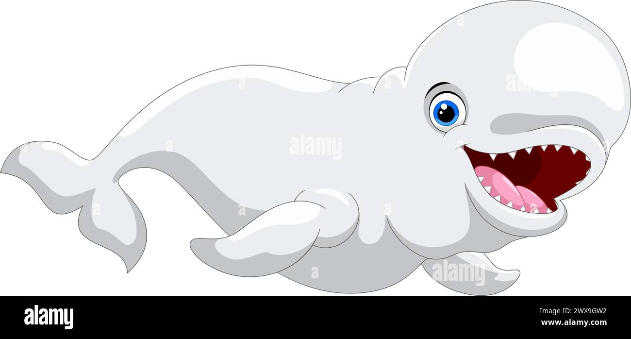 Vector Illustration of cartoon Beluga whale isolated on white ...