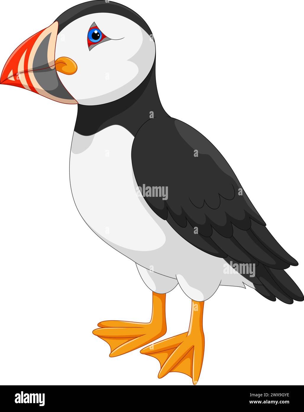 Vector illustration of Atlantic puffin cartoon isolated on white ...