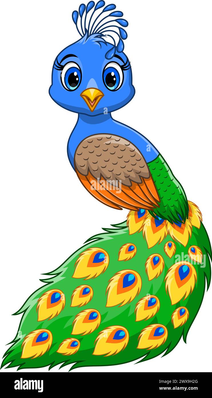 Cartoon funny peacock on white background Stock Vector Image & Art - Alamy