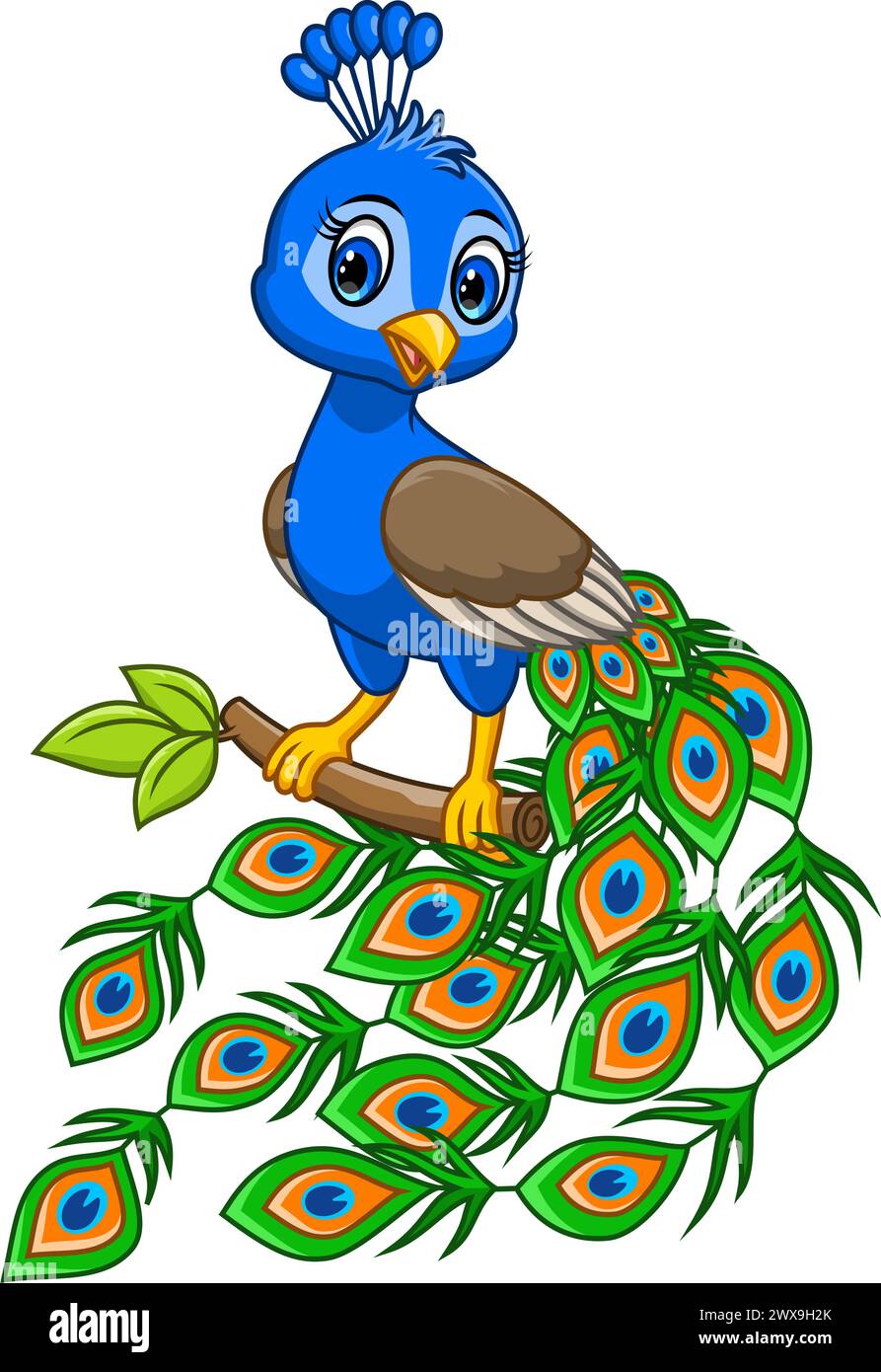 Cartoon peacock hi-res stock photography and images - Alamy
