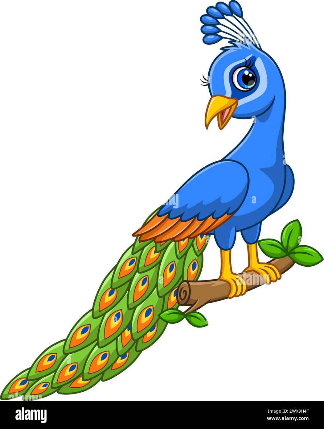 Cartoon funny peacock on white background Stock Vector Image & Art - Alamy