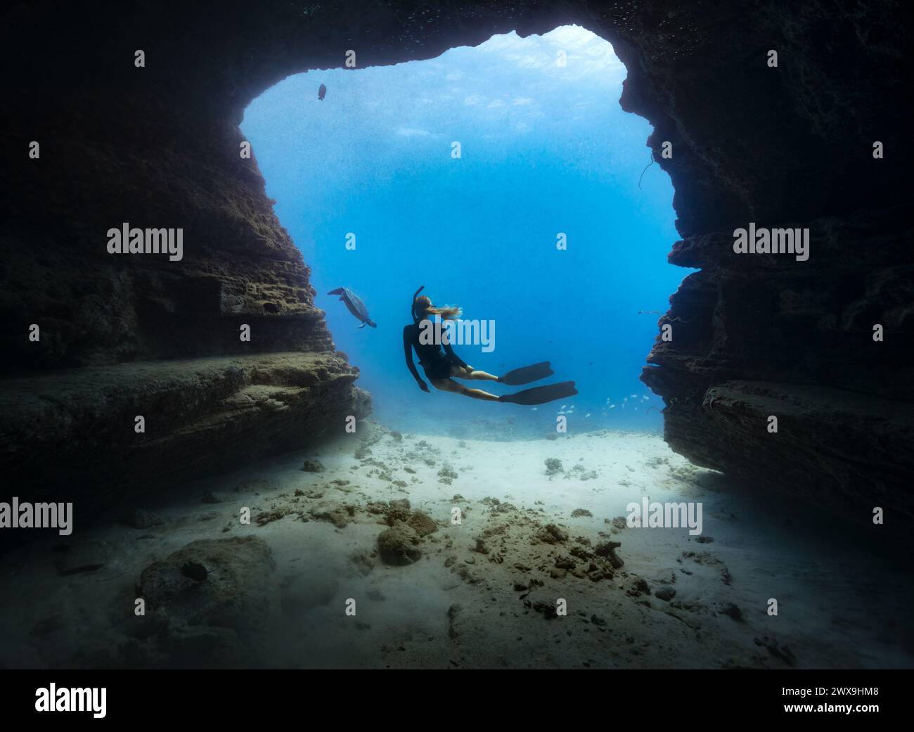 A young female free diving down into a cave doorway accompanied by a ...